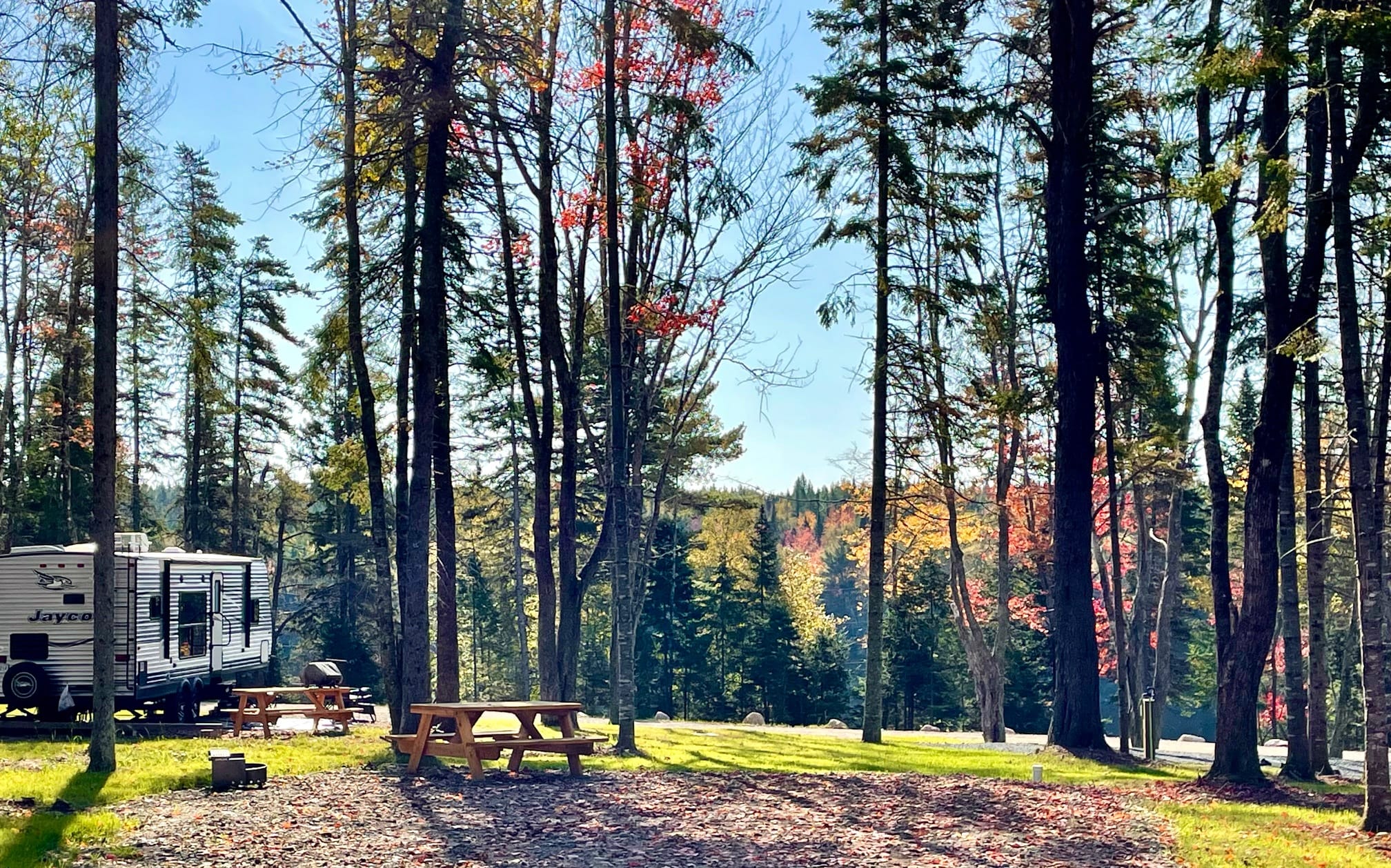 Nature's Nest Camping